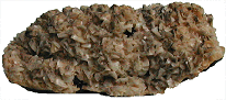 The Guide to Rocks and Minerals - Dolomite
